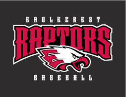 Raptors Baseball Logo