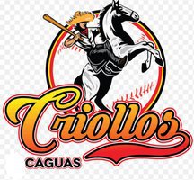Criollos De Caguas 25+ Fall 2024 Roster