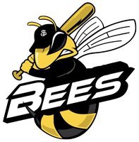 San Jose Bees Summer 2023 Scores