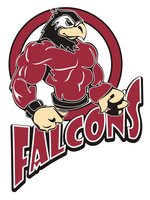 Falco Falcons Home Page